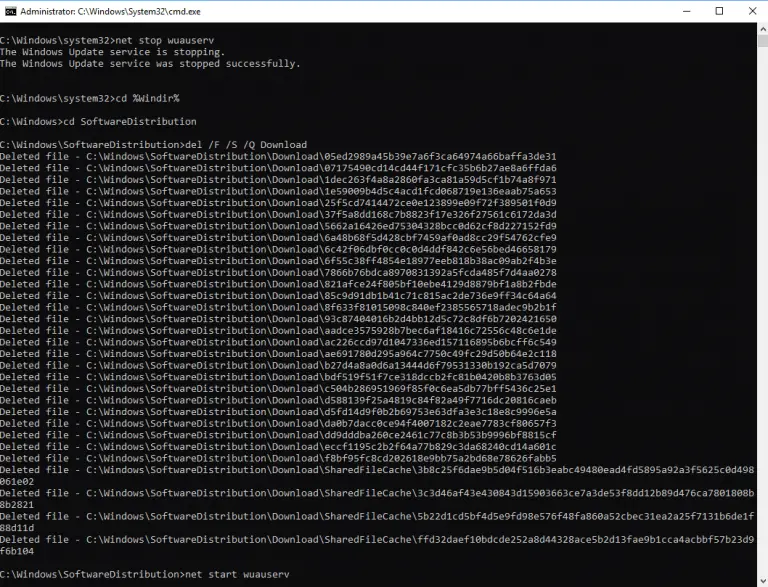 How To Clear Windows Update Cache on Windows 10/11