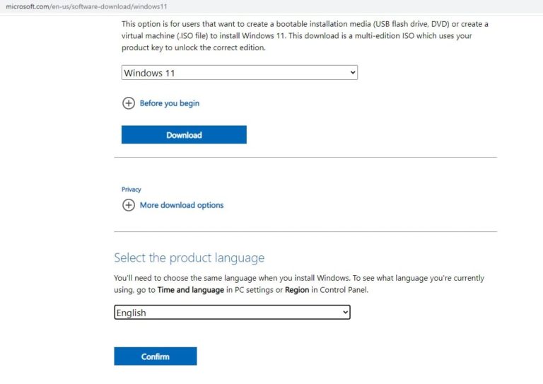 Download Windows 11 ISO File (64 Bit) version 23H2 FREE