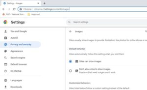 Solved: Images not Loading in Chrome browser windows 11