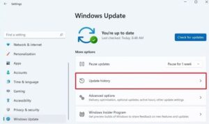 How to Roll back windows update or Feature updates windows 11