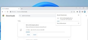 Download Windows 11 ISO File (64 Bit) version 23H2 FREE