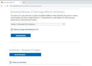 Download Windows 11 ISO File (64 Bit) version 23H2 FREE