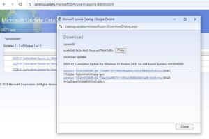 Windows 11 KB5050009 Update Stuck at 100% Downloading (Get it right way)